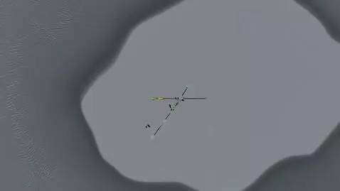 Detailed Video Prompt: The Cellular Journey of T