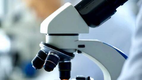 cells move under a microscope