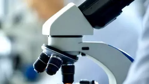 cells move under a microscope