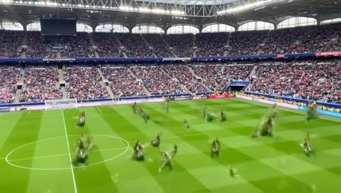 Big stadium full of frogs and cats