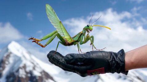 a mythical "lotus mantis" landing on a gloved ha
