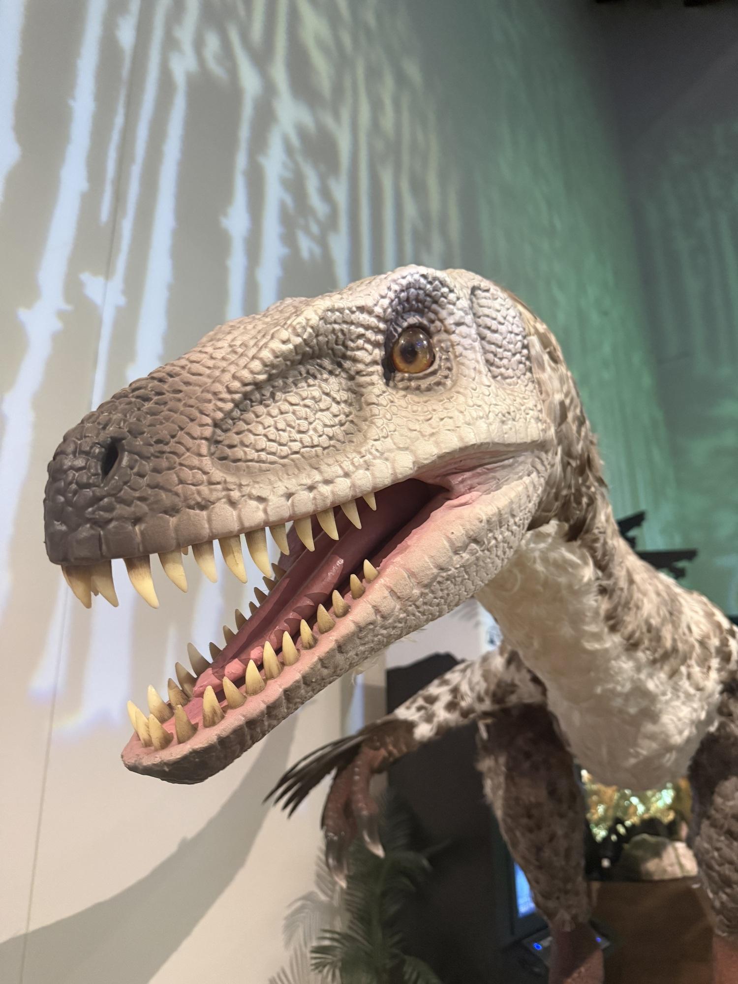 Quantum AI videos - HUGE