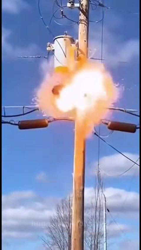 Cat Falls After Power Line Explosion AI Video from AlphaPaul - HUGE