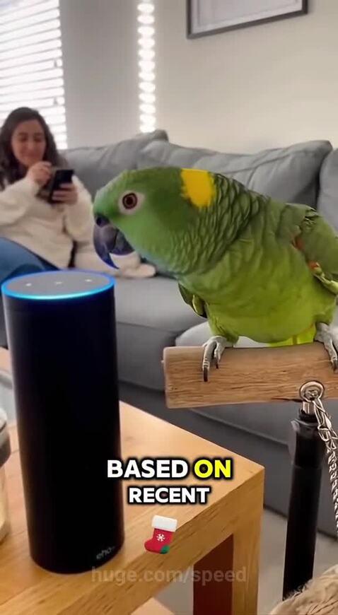 Parrot Roasts Alexa AI Video from speed - HUGE