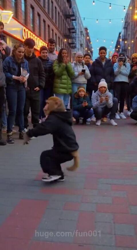 Monkey Breakdancer Entertains Crowd AI Video from FUN001 - HUGE